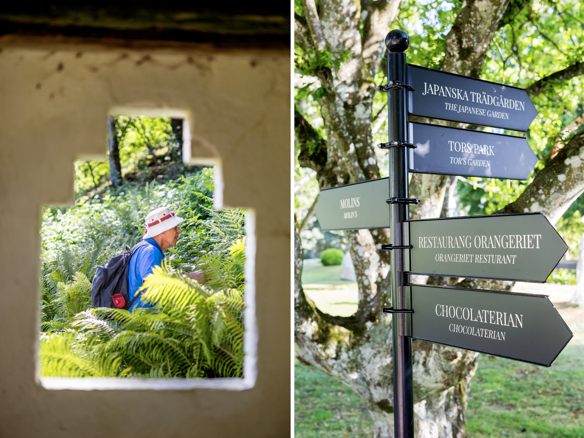 Norrviken – en trädgård mellan skog och hav - Turist